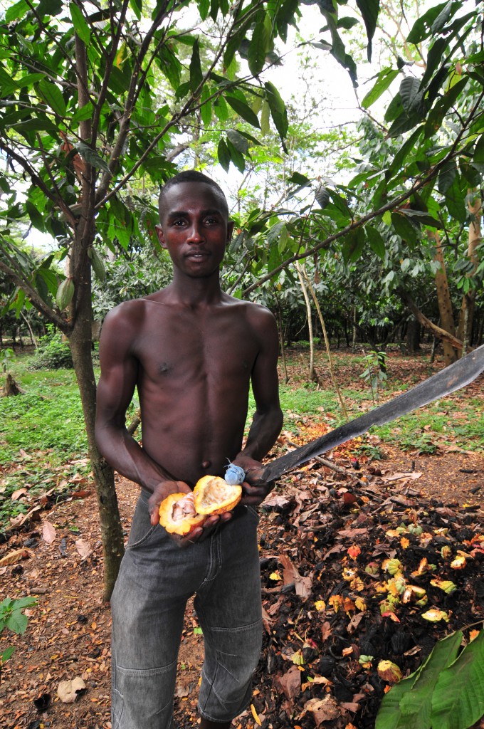 The way of chocolate: Growing cocoa - MadaMagazine