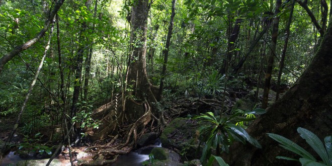 Masoala national park – MADAMAGAZINE