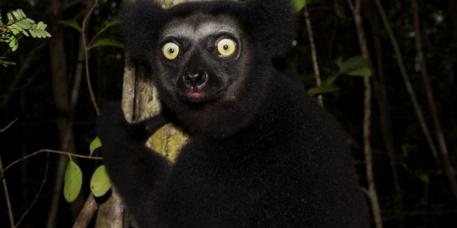 Taboos and traditions: The Fady in Madagascar – MADAMAGAZINE