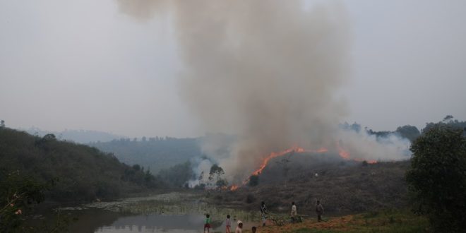 Tavy – Clearing an island – MADAMAGAZINE