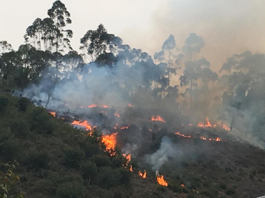 Brandrodung nahe Andasibe - MADAMAGAZINE