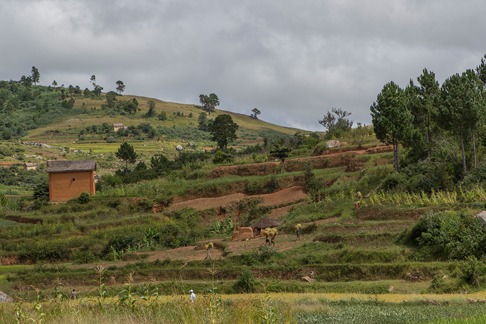 Ranoro, the Daughter of the Water - MADAMAGAZINE